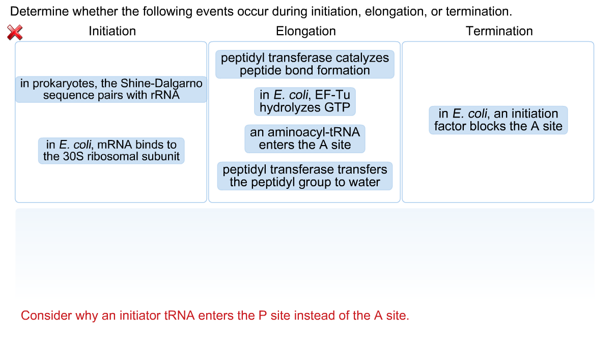 Solved Determine whether the following events occur during | Chegg.com