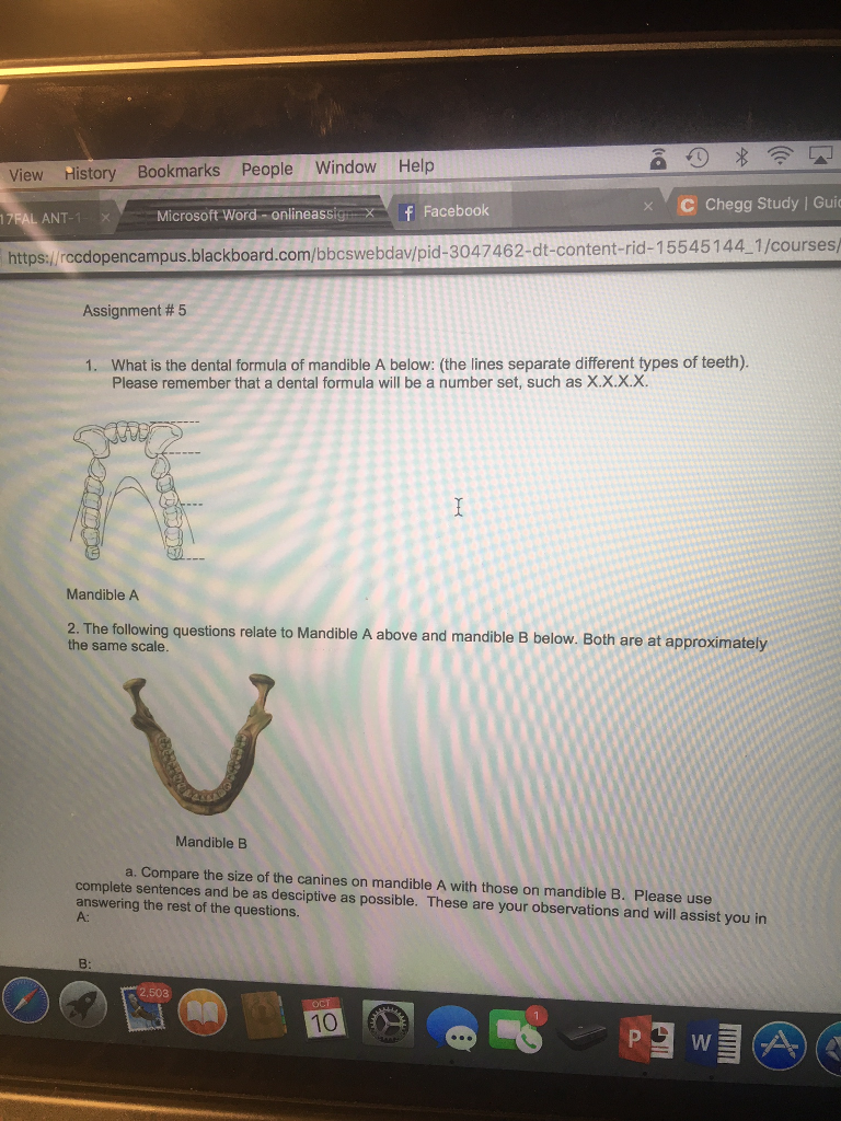 Solved View History Bookmarks People Window Help × C Chegg | Chegg.com
