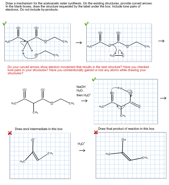Solved Draw a mechanism for the acetoacetic ester synthesis. | Chegg.com