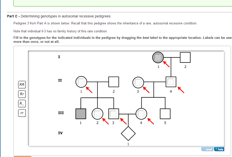 Solved I only need answers for each boxes | Chegg.com