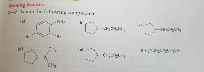 Solved Naming Amines 2447 Name the following compounds: | Chegg.com