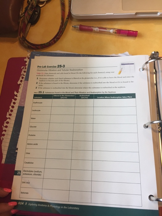 Solved Pre-Lab Exercise 25-3 Glomerular Filtration and | Chegg.com