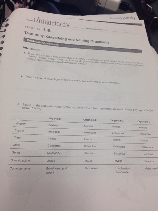 Solved Taxonomy: Classifying and Naming Organisms | Chegg.com