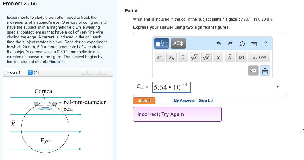 Solved Experiments to study vision often need to track the | Chegg.com