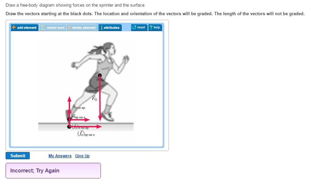 Solved Draw A Free body Diagram Showing Forces On The Chegg Solved Draw A Free body Diagram Showing Forces On The Chegg