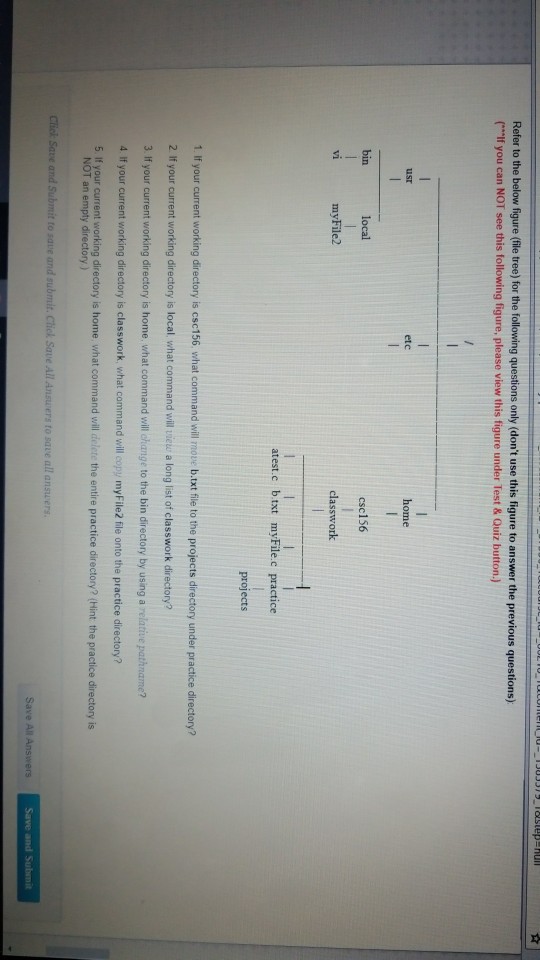 Solved Refer to the below figure (file tree) for the | Chegg.com