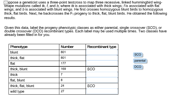 Solved Suppose a geneticist uses a three-point testcross to | Chegg.com