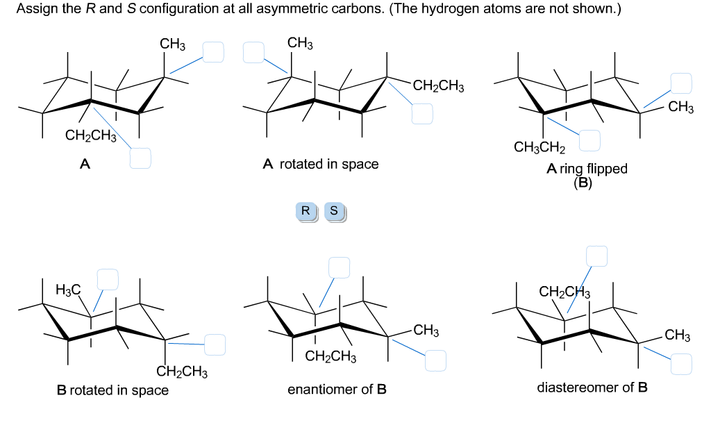 Solved Assign the R and S configuration at all asymmetric | Chegg.com