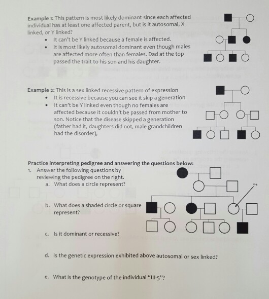 Solved Now that you are comfortable writing genotypes and | Chegg.com