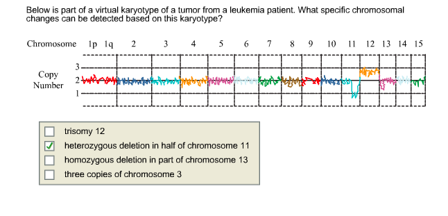Solved Below is part of a virtual karyotype of a tumor from | Chegg.com