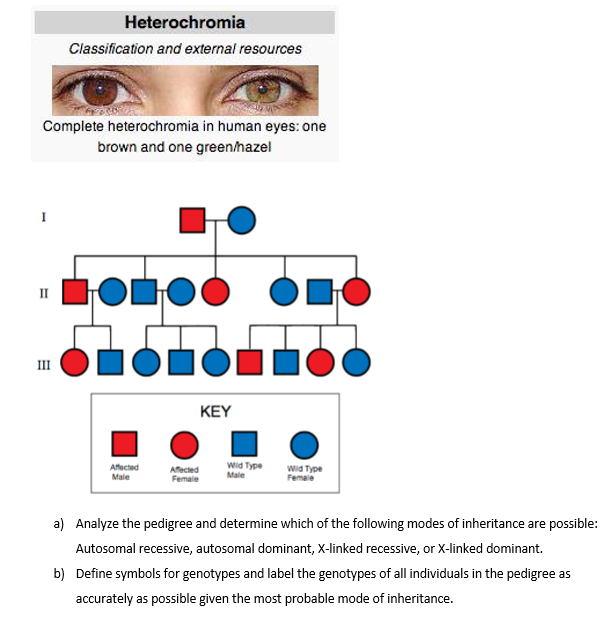 Solved Heterochromia Classification and external resources | Chegg.com