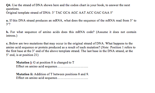Solved Q4. Use the strand of DNA shown here and the codon | Chegg.com
