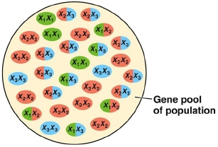 Solved Refer to the figure below. Which description of the | Chegg.com