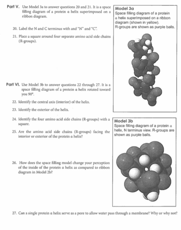 Part V. Use Model 3a to answer questions 20 and 21. | Chegg.com