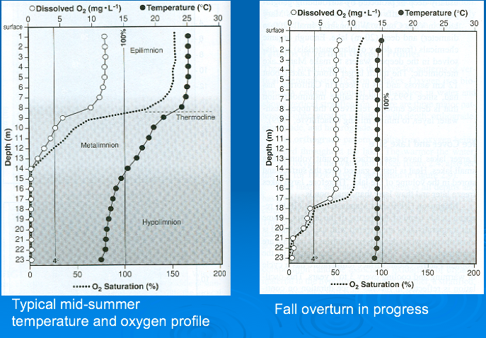 Solved For the following Vertical Profiles of Temperature | Chegg.com