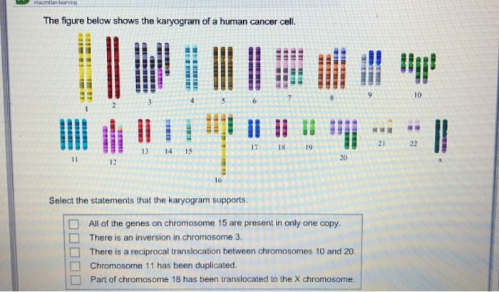 Solved The figure below shows the karyogram of a human | Chegg.com