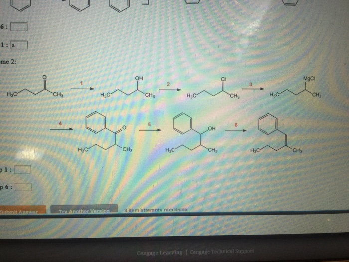 Solved Select the reagent(s) necessary for the given step of | Chegg.com Solved Select the reagent(s) necessary for the given step of | Chegg.com