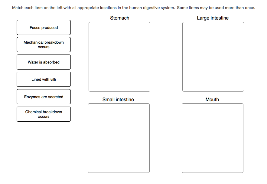 Solved Match each item on the left with all appropriate | Chegg.com
