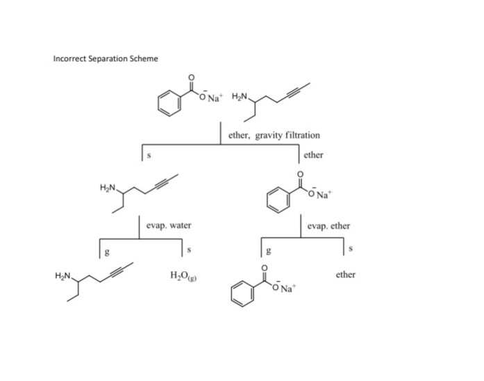 Solved On a page titled Incorrect Separation Scheme print | Chegg.com
