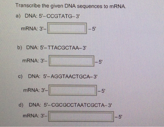 Solved Transcribe the given DNA sequences to mRNA. a) DNA: | Chegg.com