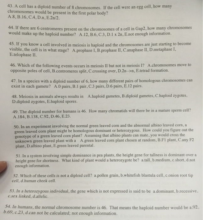 Solved A cell has a diploid number of 8 chromosomes. If the | Chegg.com
