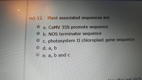 Solved m) 12. plant associated sequences are a. CaMV 35S | Chegg.com