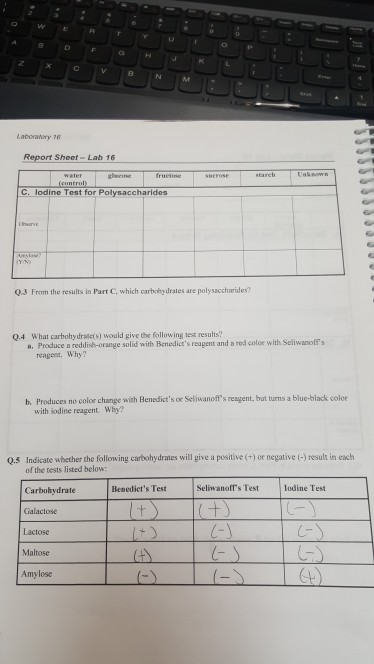 Solved SDFGHKL Laboratory ? Sheet- Lab 16 C. lodine Test for | Chegg.com