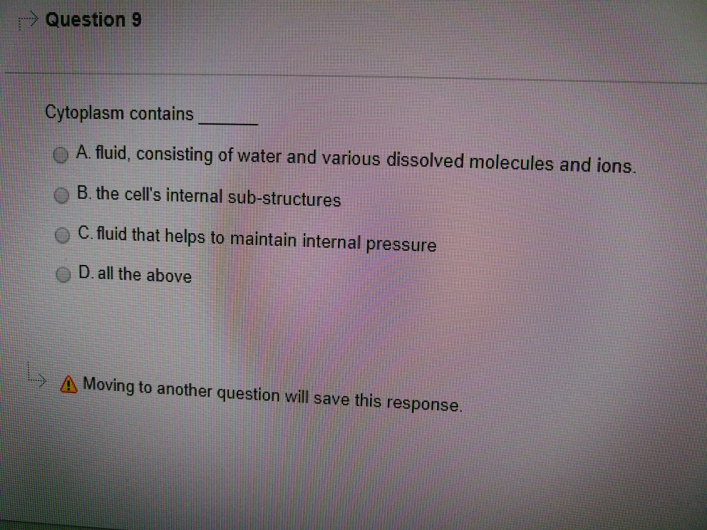 Solved Match the following Synthesis phase Gap 2 phase | Chegg.com