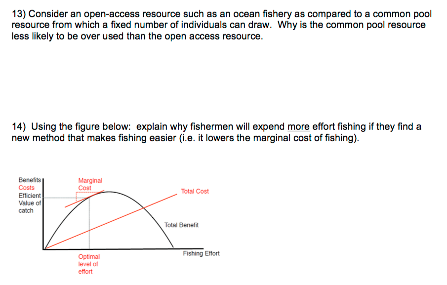 Solved Consider an open-access resource such as an ocean | Chegg.com