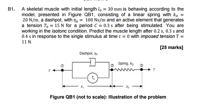 A skeletal muscle with initial length l_0 = 30 mm is | Chegg.com
