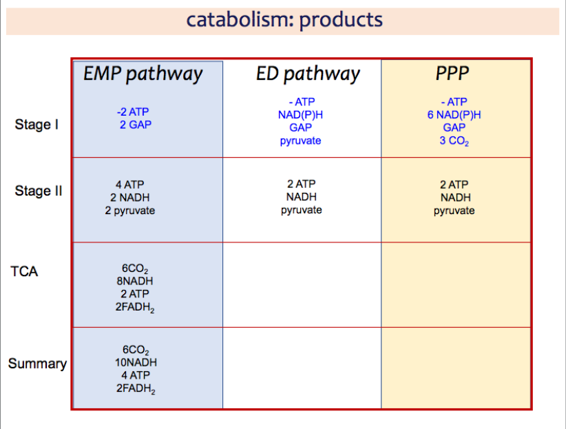 Solved catabolism: products EMP pathway ED pathway ATP | Chegg.com