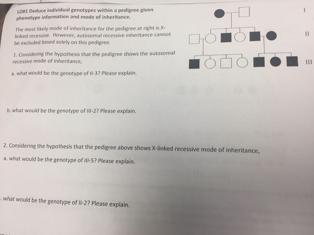 Solved LO#1 Deduce individual genotypes within a pedigree | Chegg.com