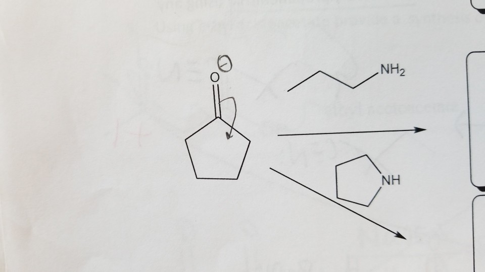 Solved NH2 NH | Chegg.com