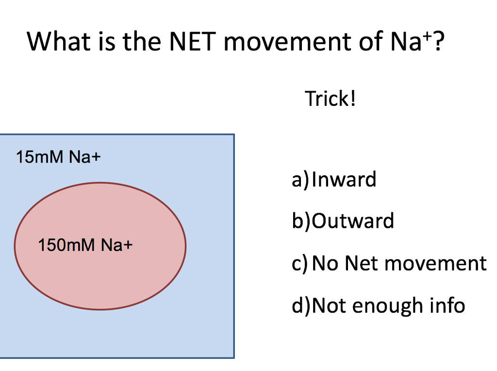 Solved What is the NET movement of Na^+? a) Inward b) | Chegg.com
