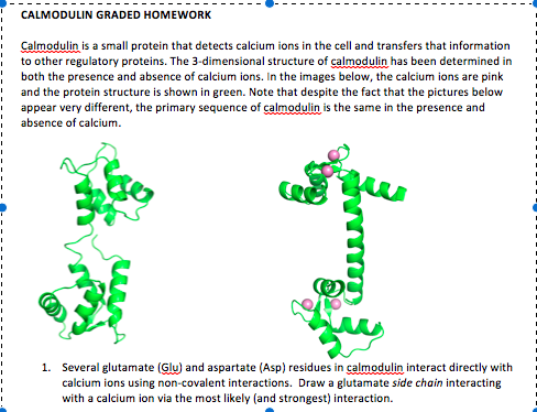 Solved CALMODULIN GRADED HOMEWORK Calmodulin is a small | Chegg.com