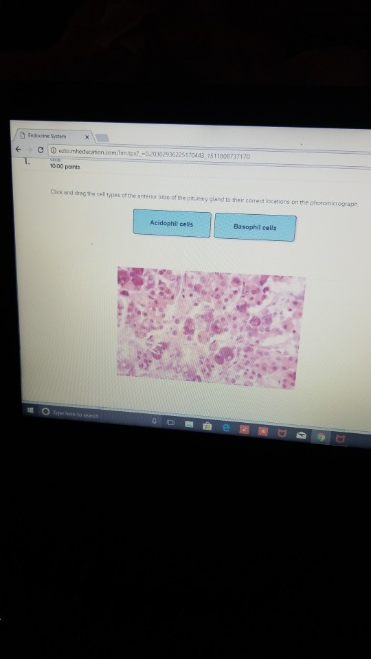 Solved -C ⓘ | Chegg.com