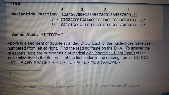 Solved Above is a segment of double-stranded DNA. Each of | Chegg.com