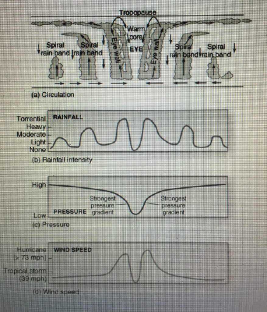 Solved The diagram below is a cross-section of a hurricane | Chegg.com