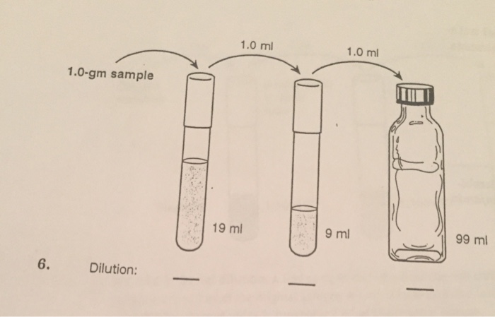 Solved Calculate the serial dilution | Chegg.com