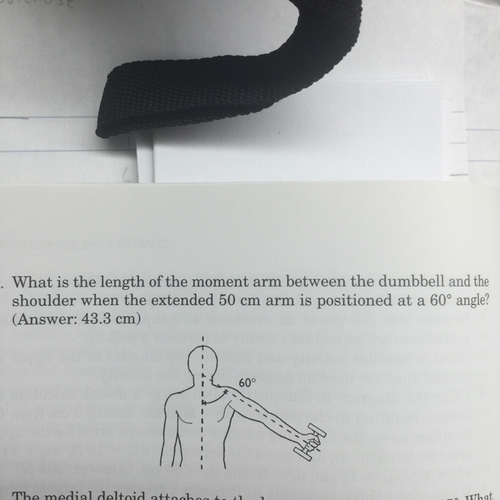 Solved What is the length of the moment arm between the | Chegg.com