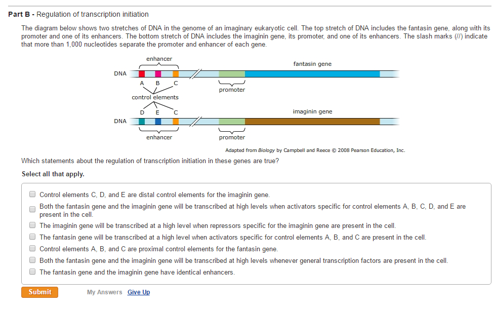 Solved Regulation of transcription initiation The diagram | Chegg.com
