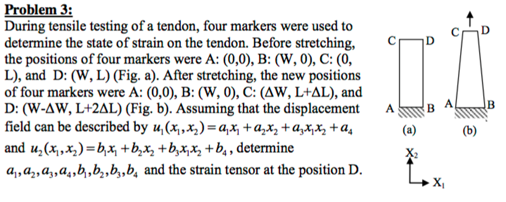 During tensile testing of a tendon, four markers were | Chegg.com