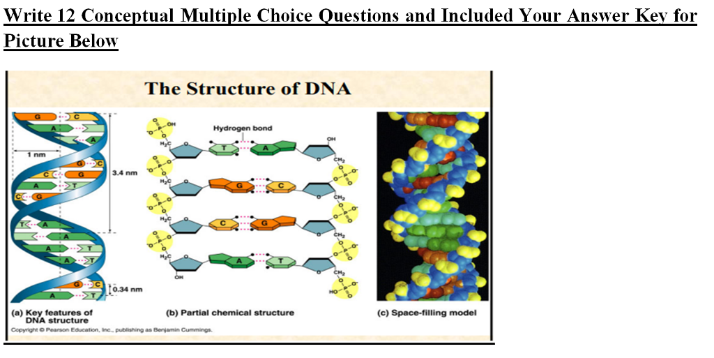 Solved Note: Write 12 Conceptual Multiple Choice Questions | Chegg.com