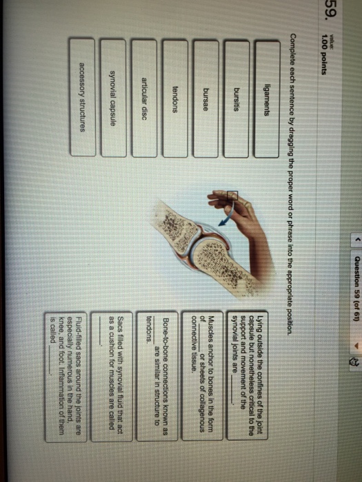 Solved Complete Each Sentence By Dragging The Proper Word Or