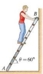 Solved An 8 ft long ladder has seven rungs. The rungs are | Chegg.com