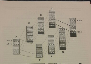 Solved Volcanic ashes 1 & 2 occur at two different horizons | Chegg.com