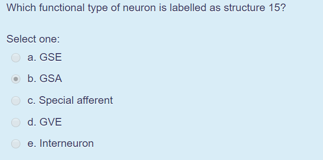 Solved Figure 2. A diagram showing a neural pathway. | Chegg.com