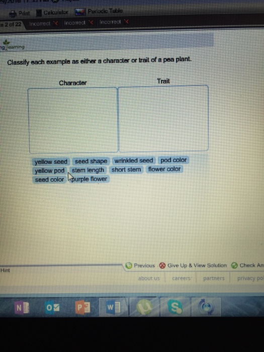 Solved Classify each example as either a character or trait | Chegg.com