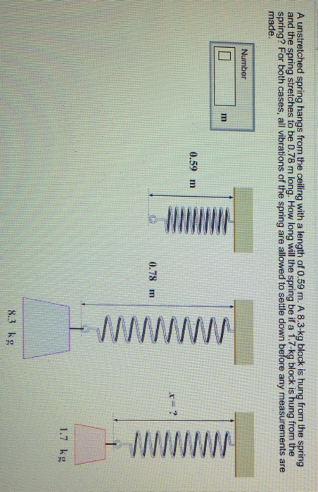 Solved A upstretched spring hangs from the ceiling with a | Chegg.com