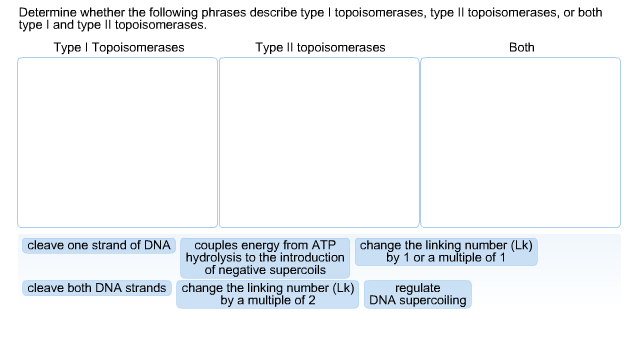 Solved Determine whether the following phrases describe type | Chegg.com Solved Determine whether the following phrases describe type | Chegg.com